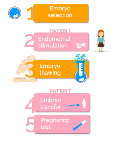 Embryo adoption: adoption of embryos - VITA Medicina Reproductiva